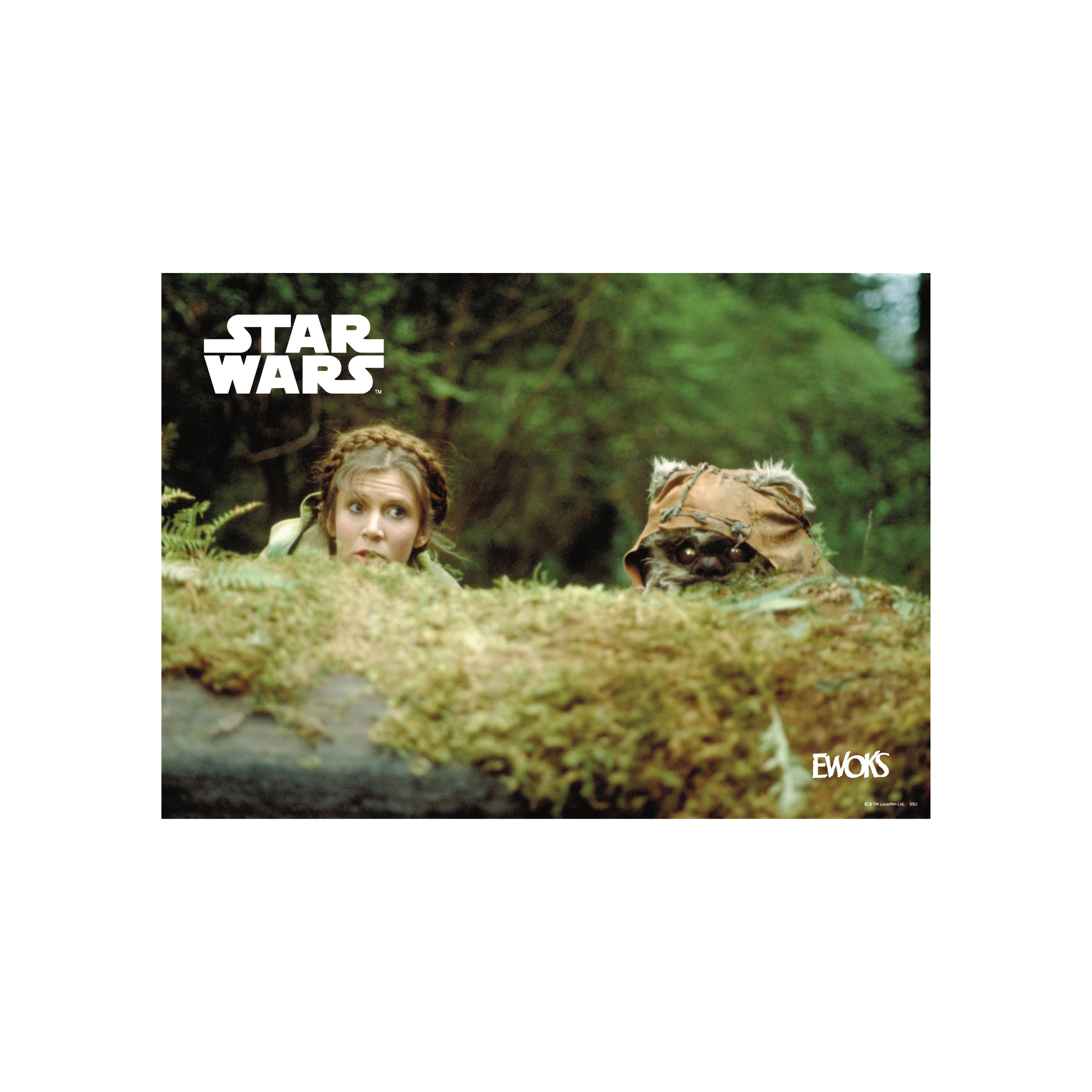 Happyくじ / STAR WARS™『EWOKS』 - Happyくじ