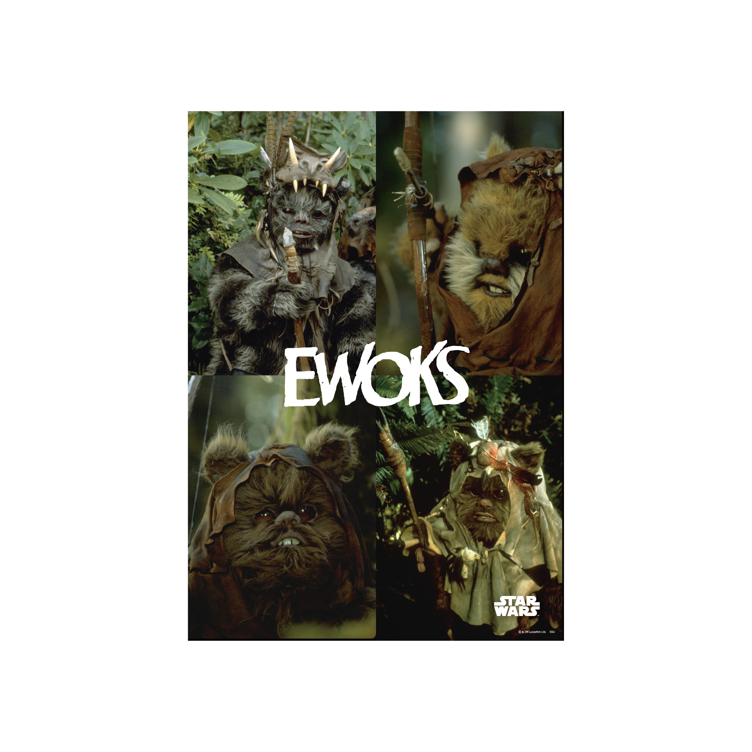 Happyくじ / STAR WARS™『EWOKS』 - Happyくじ